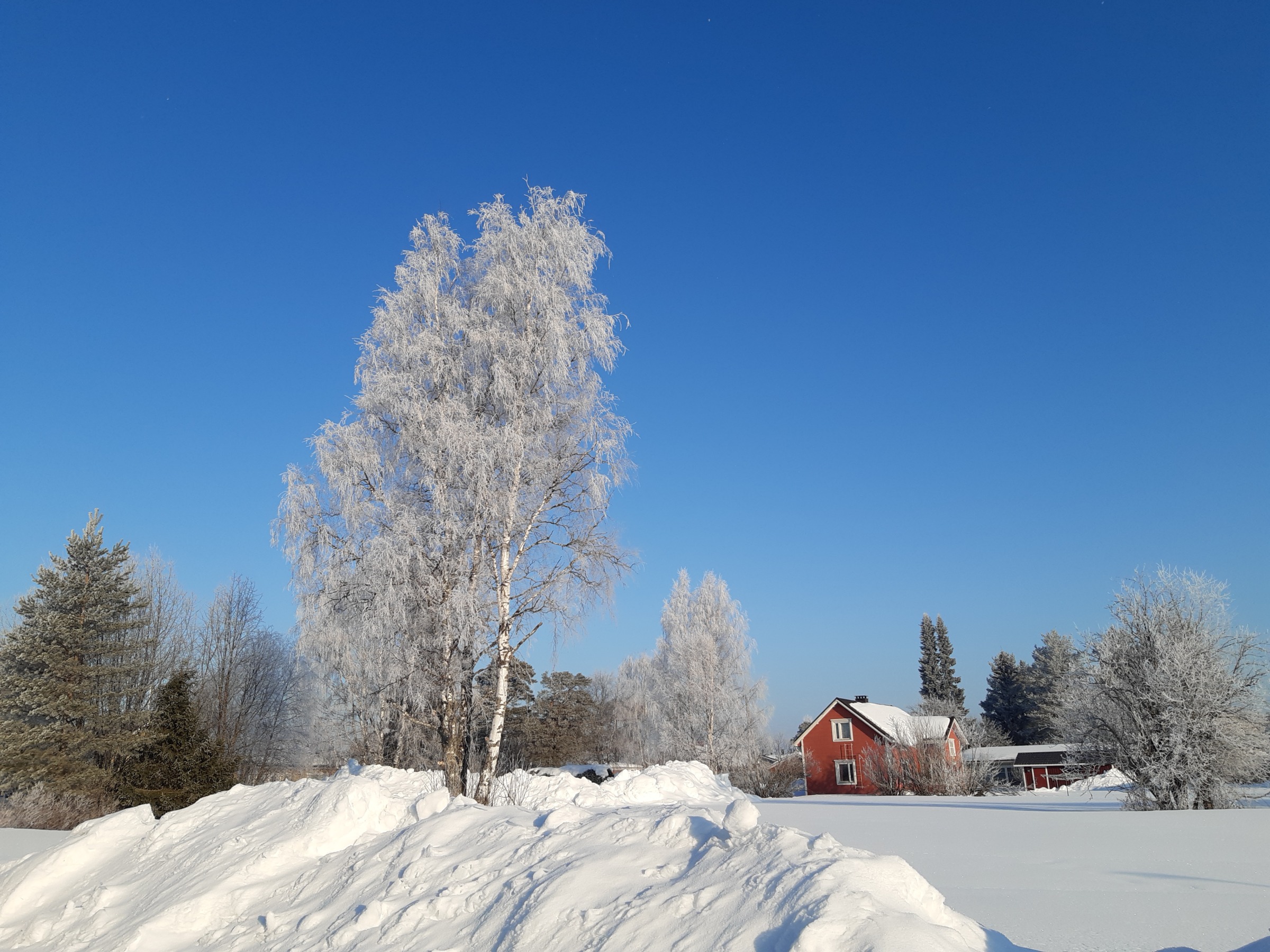 Yksityisteiden auraus | Tervolan kunta