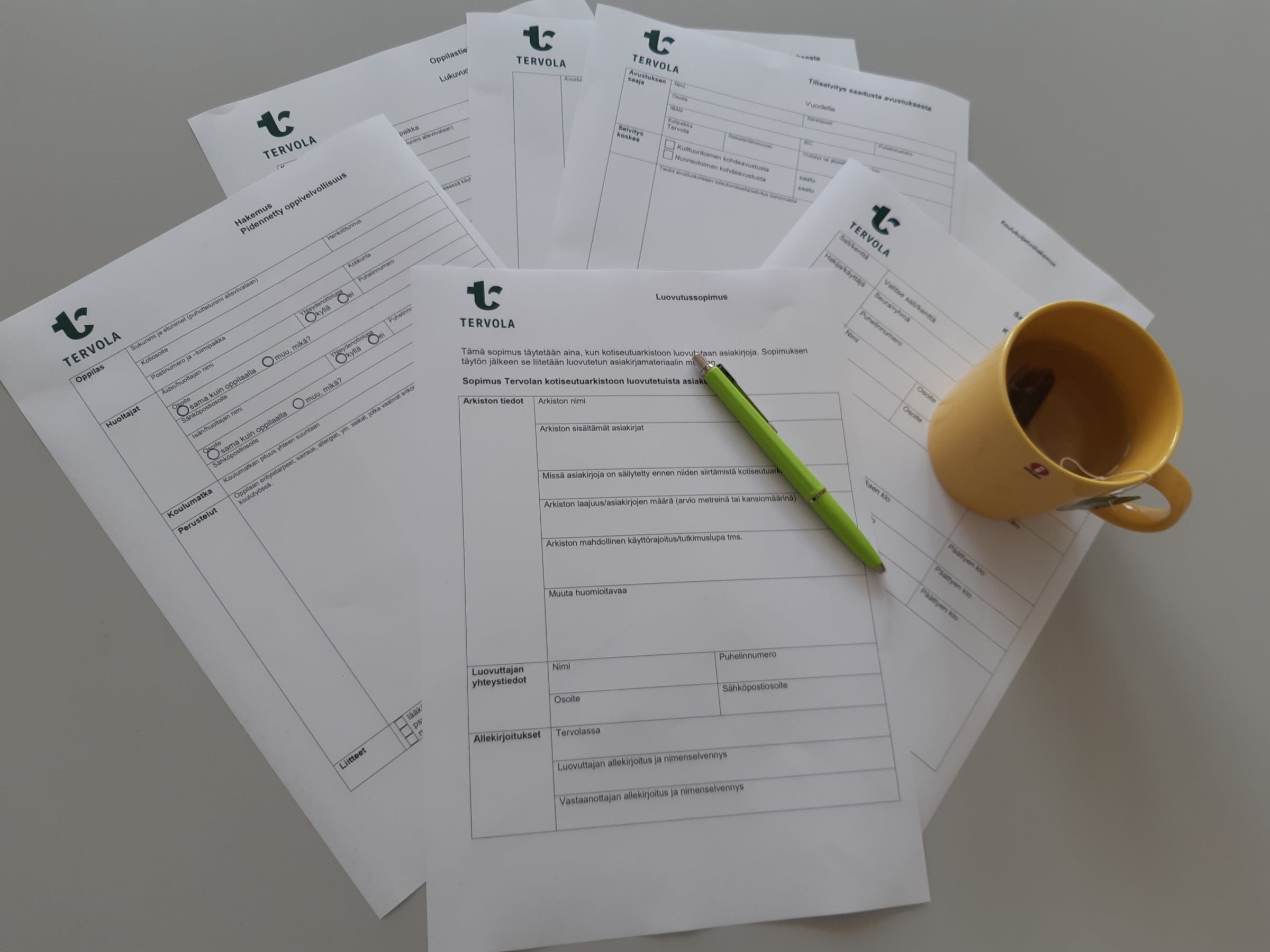 Early childhood education and school forms | Tervolan kunta