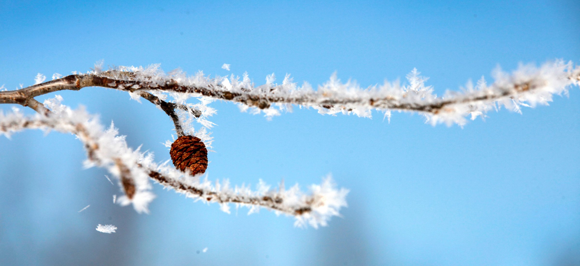 Aurausohjelmaan hakeutuminen | Tervolan kunta